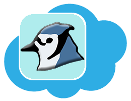 BlueJ Online – rollApp