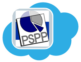 PSPP Online – rollApp
