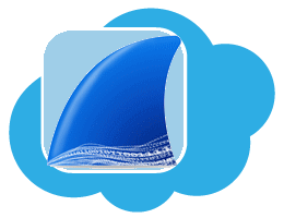 Wireshark Online – rollApp